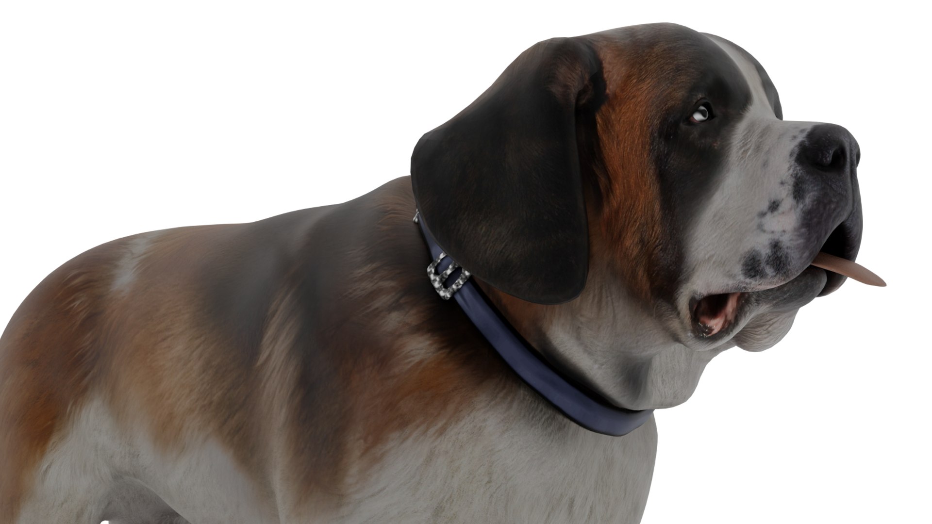 3D Model Sumo Dog - TurboSquid 1514630