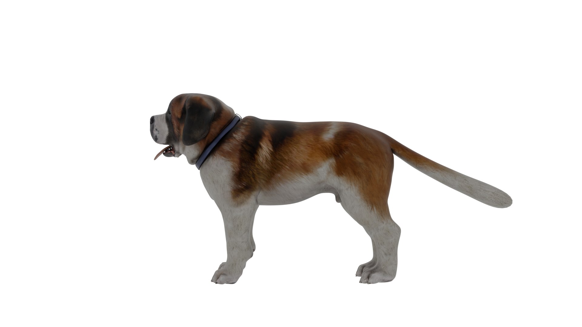 3D Model Sumo Dog - TurboSquid 1514630