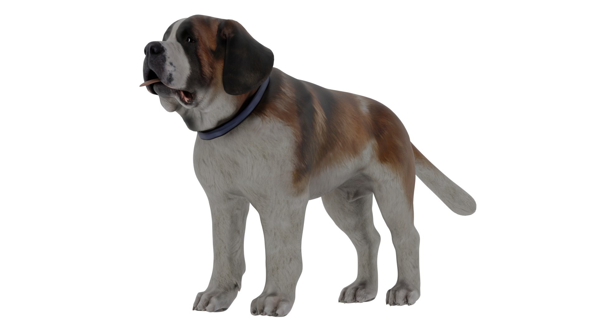 3D model sumo dog - TurboSquid 1514630