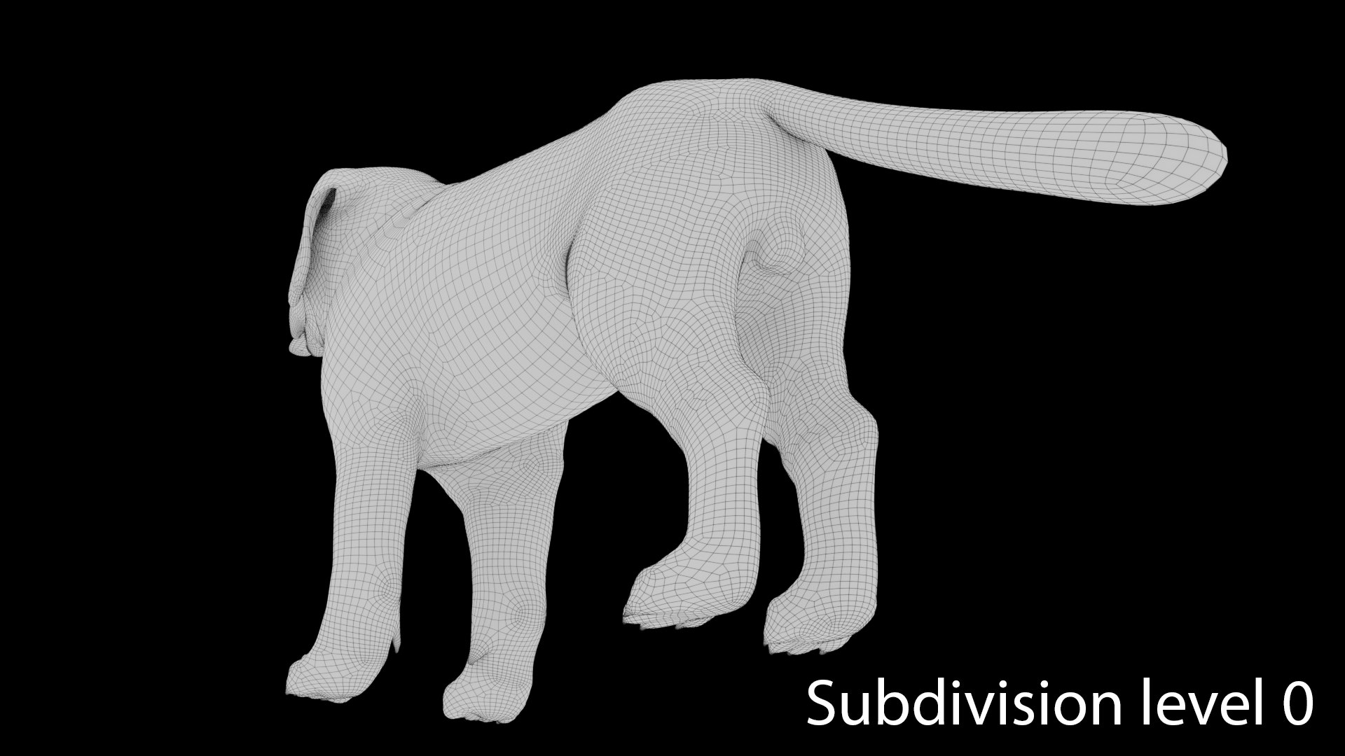 3D Model Sumo Dog - TurboSquid 1514630