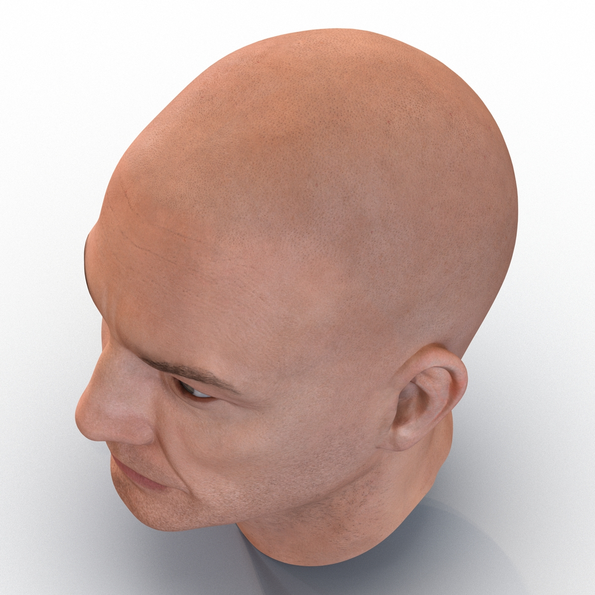 3d male head 5 model