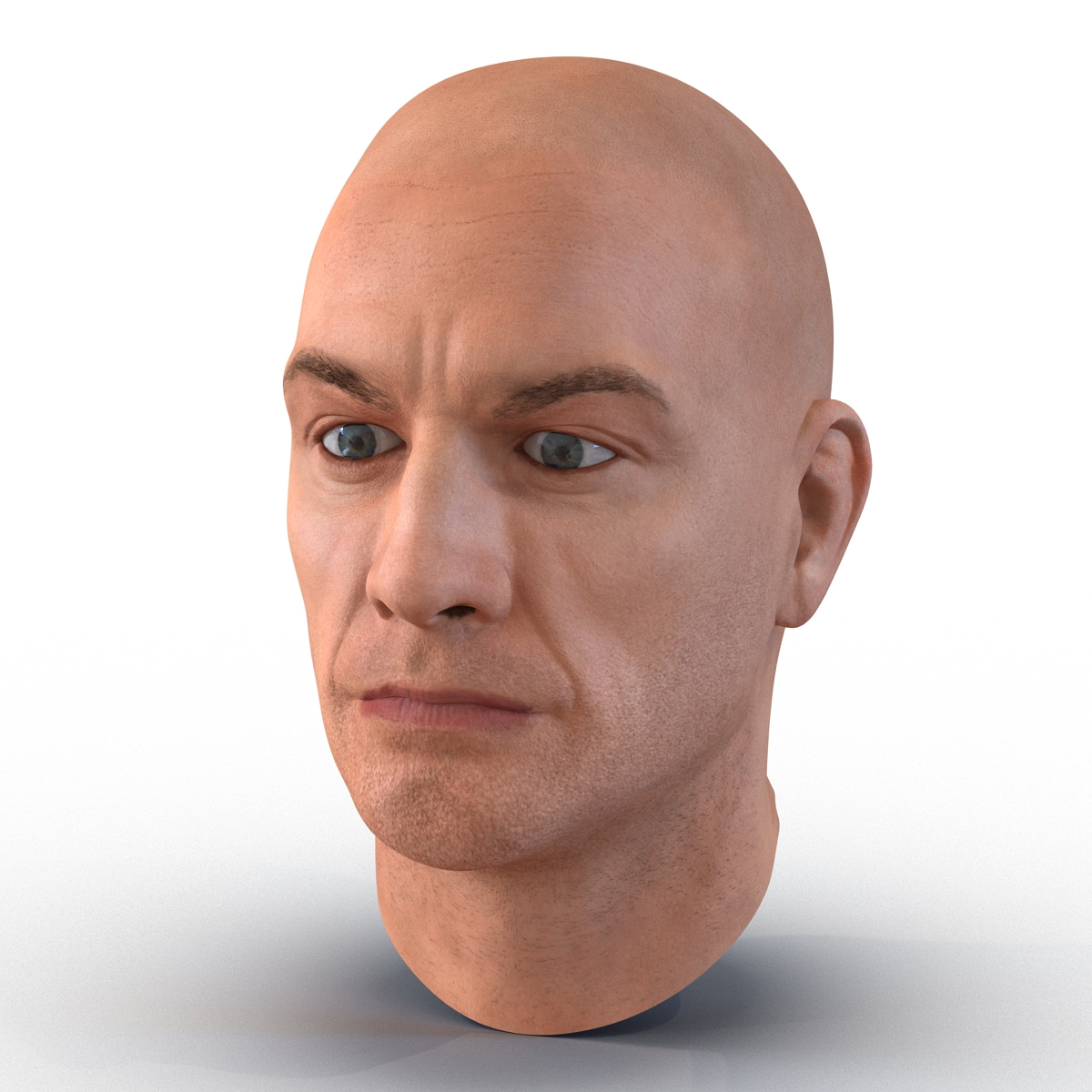 3d male head 5 model