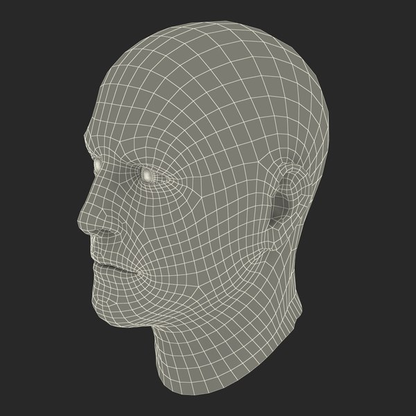 3d male head 5 model