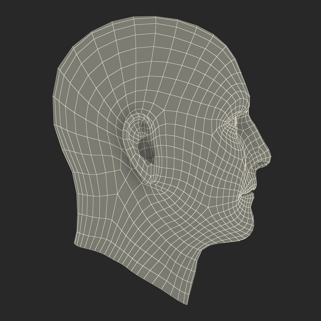 3d Male Head 5 Model