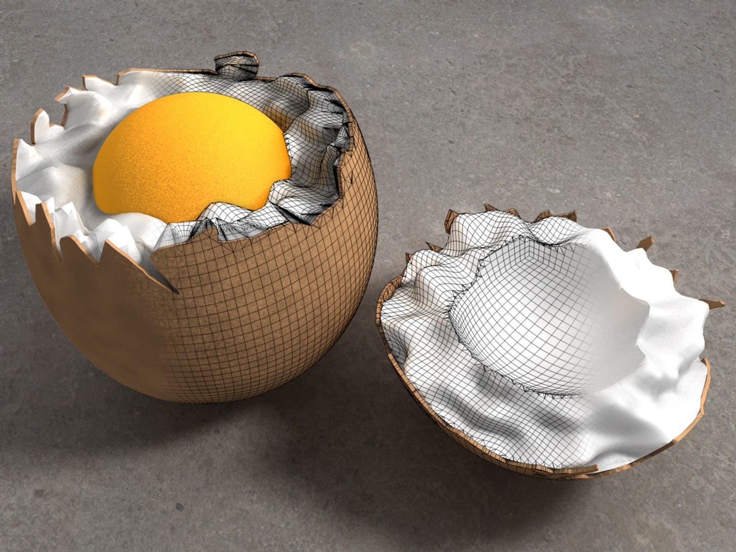 3d Egg Different Stages
