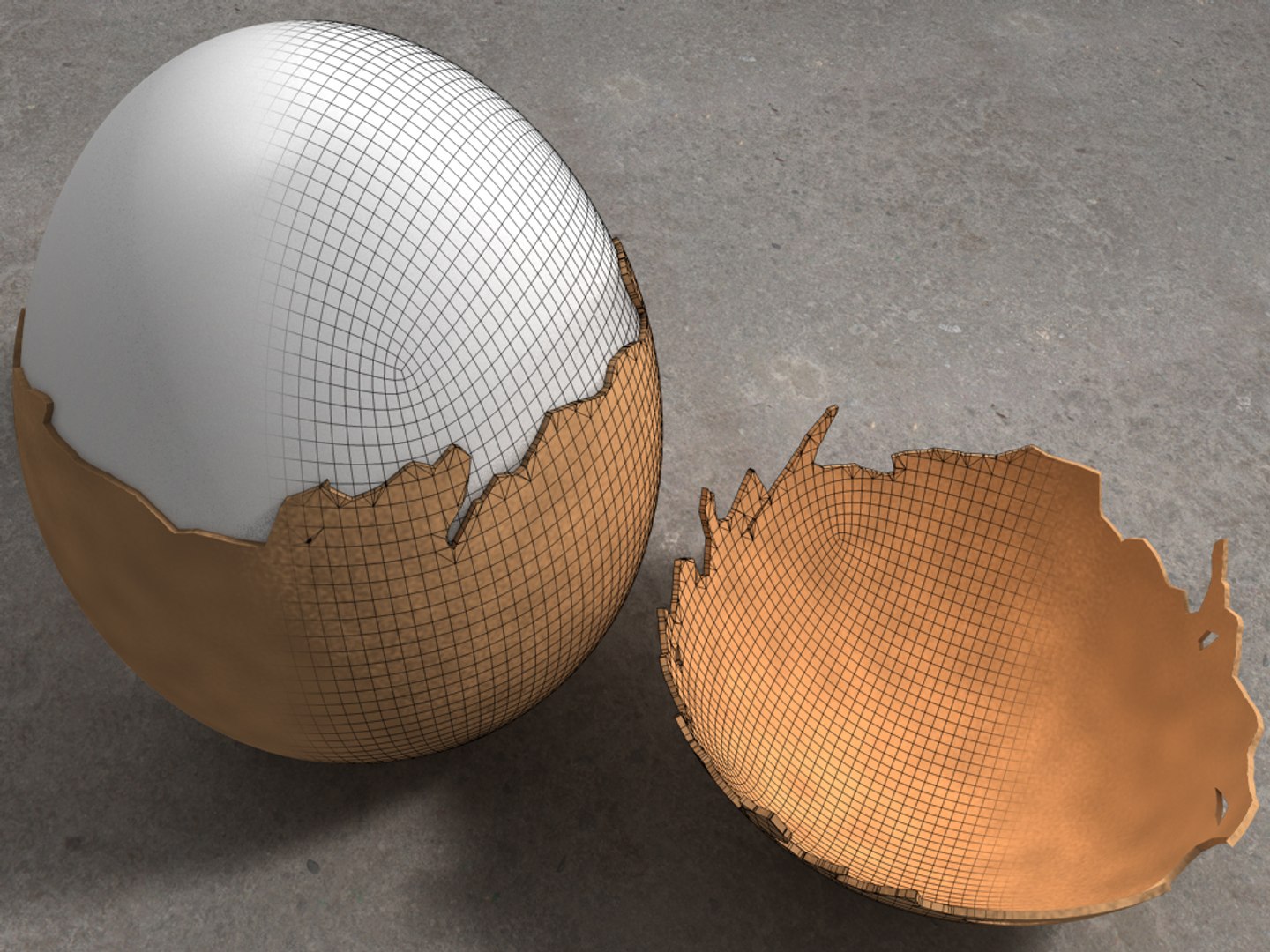 3d Egg Different Stages