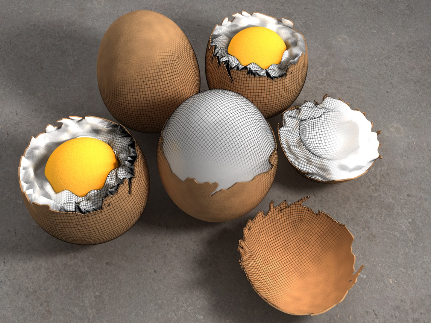 3d Egg Different Stages