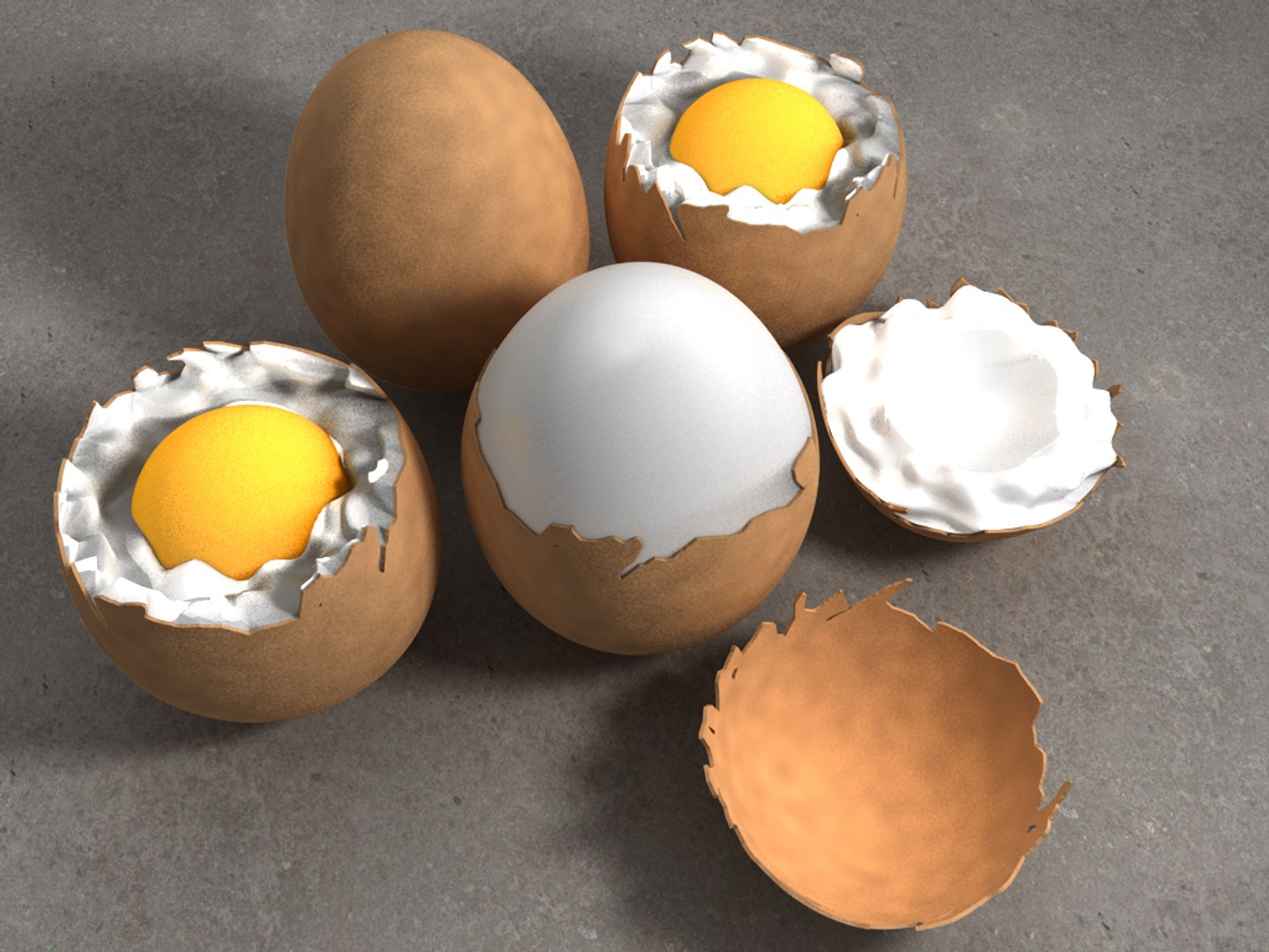 3d Egg Different Stages