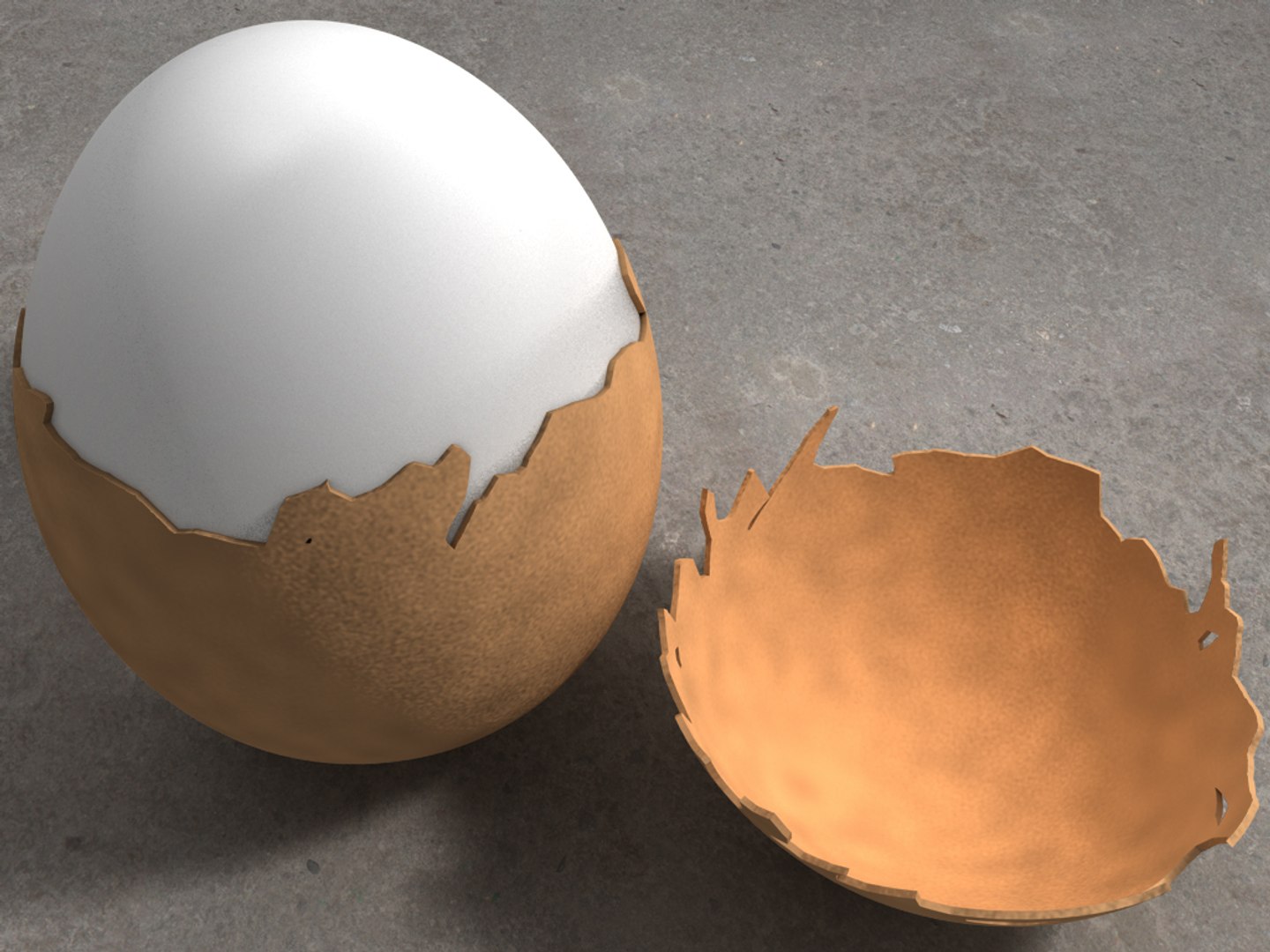 3d Egg Different Stages
