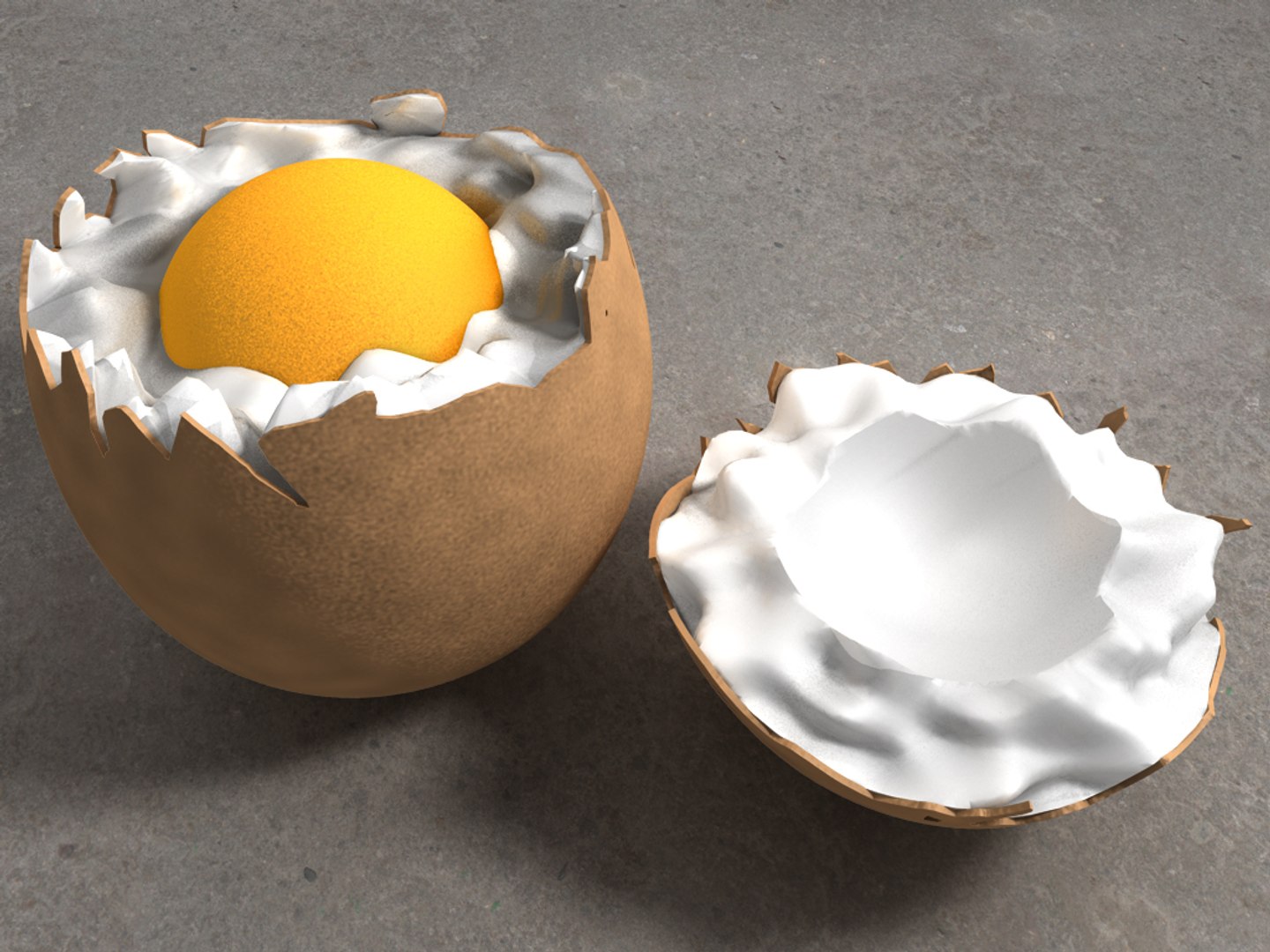 3d Egg Different Stages