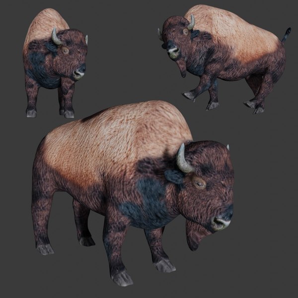 Buffalo rigged model - TurboSquid 1663218