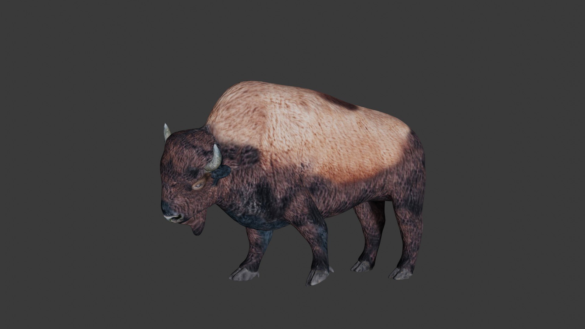 3D Fully Rigged Low Poly Bison - TurboSquid 1747785