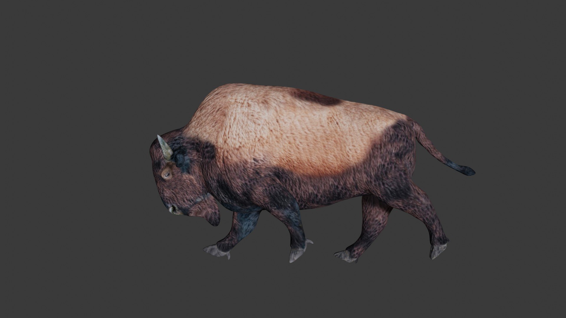 3D Fully Rigged Low Poly Bison - TurboSquid 1747785