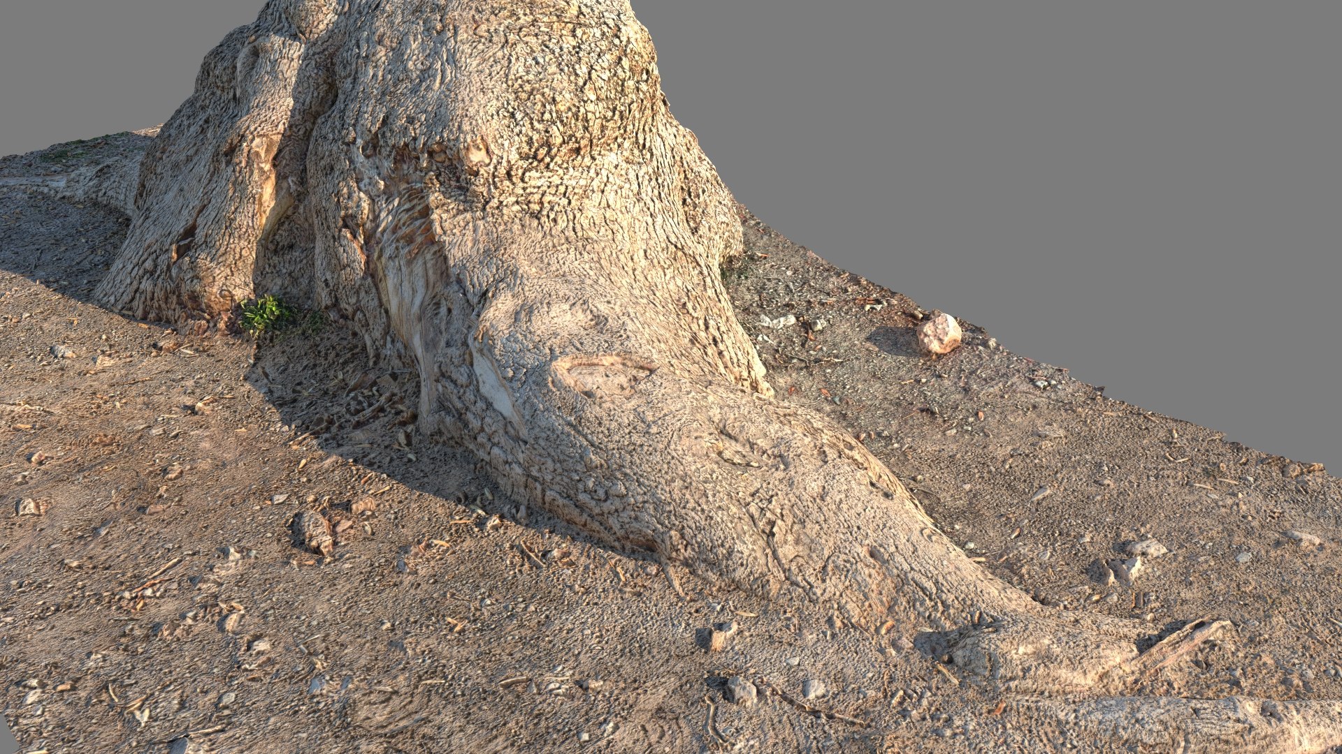 3D Model Scanned Tree Trunk 09 - TurboSquid 2156078