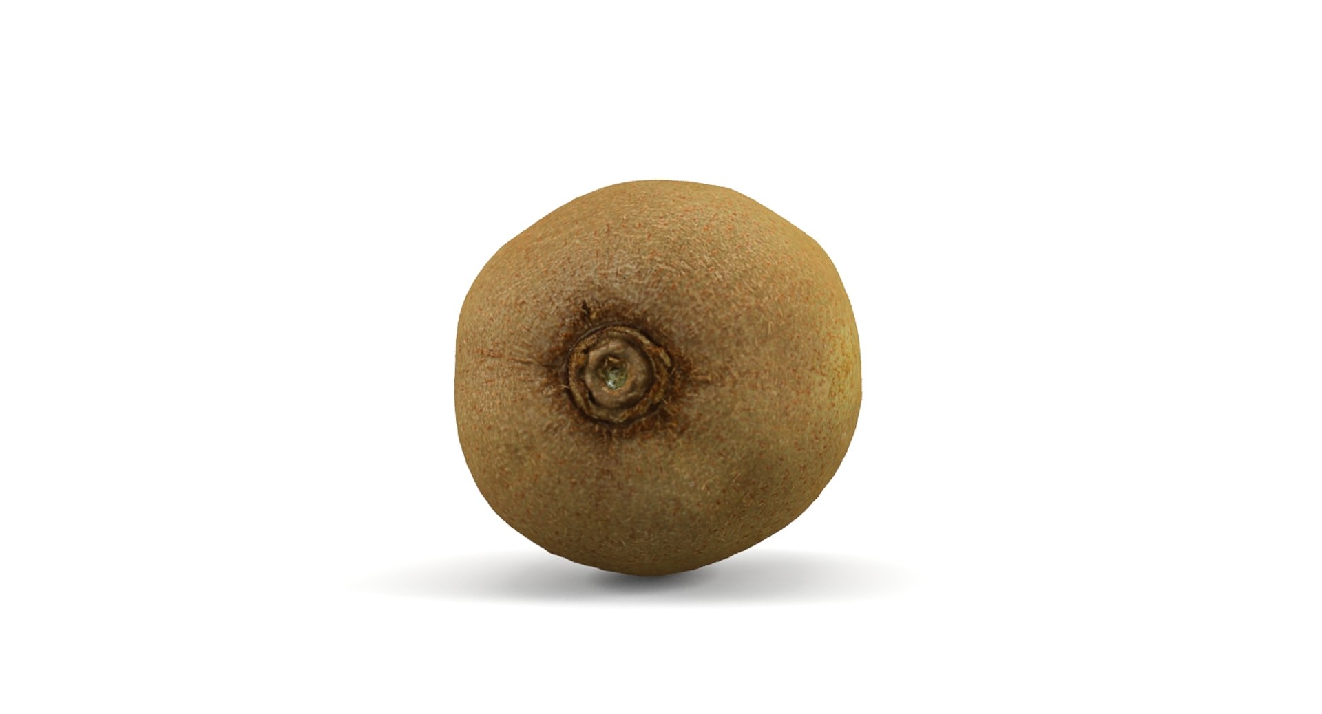 Realistic Kiwi 3d Model