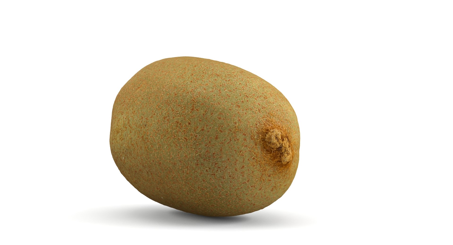 Realistic Kiwi 3d Model