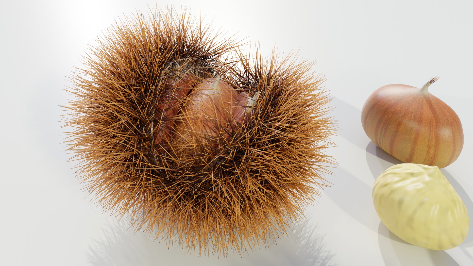 Chestnuts Procedural PBR 3D Model - TurboSquid 1800495