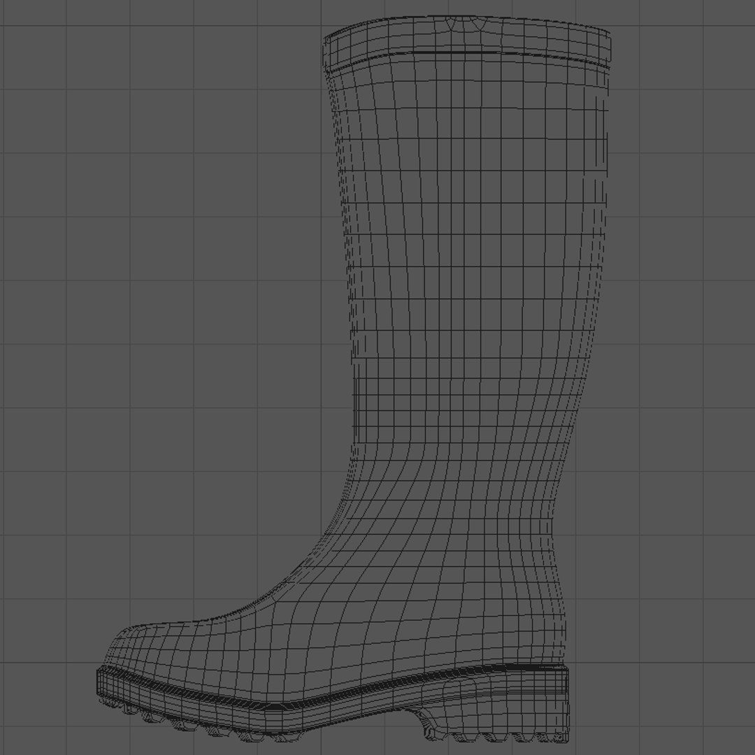 Wellington Boots 3d C4d