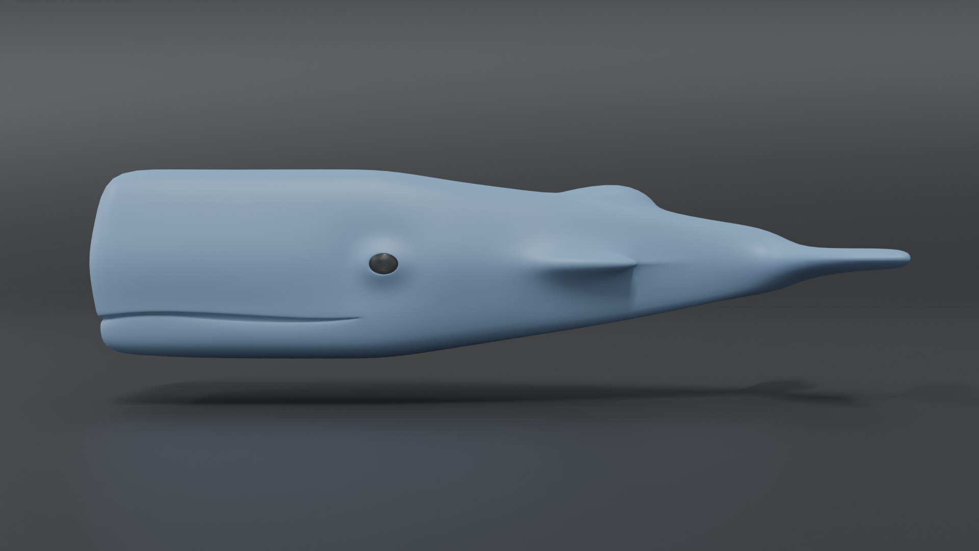 3D SPERM WHALE model - TurboSquid 1766506