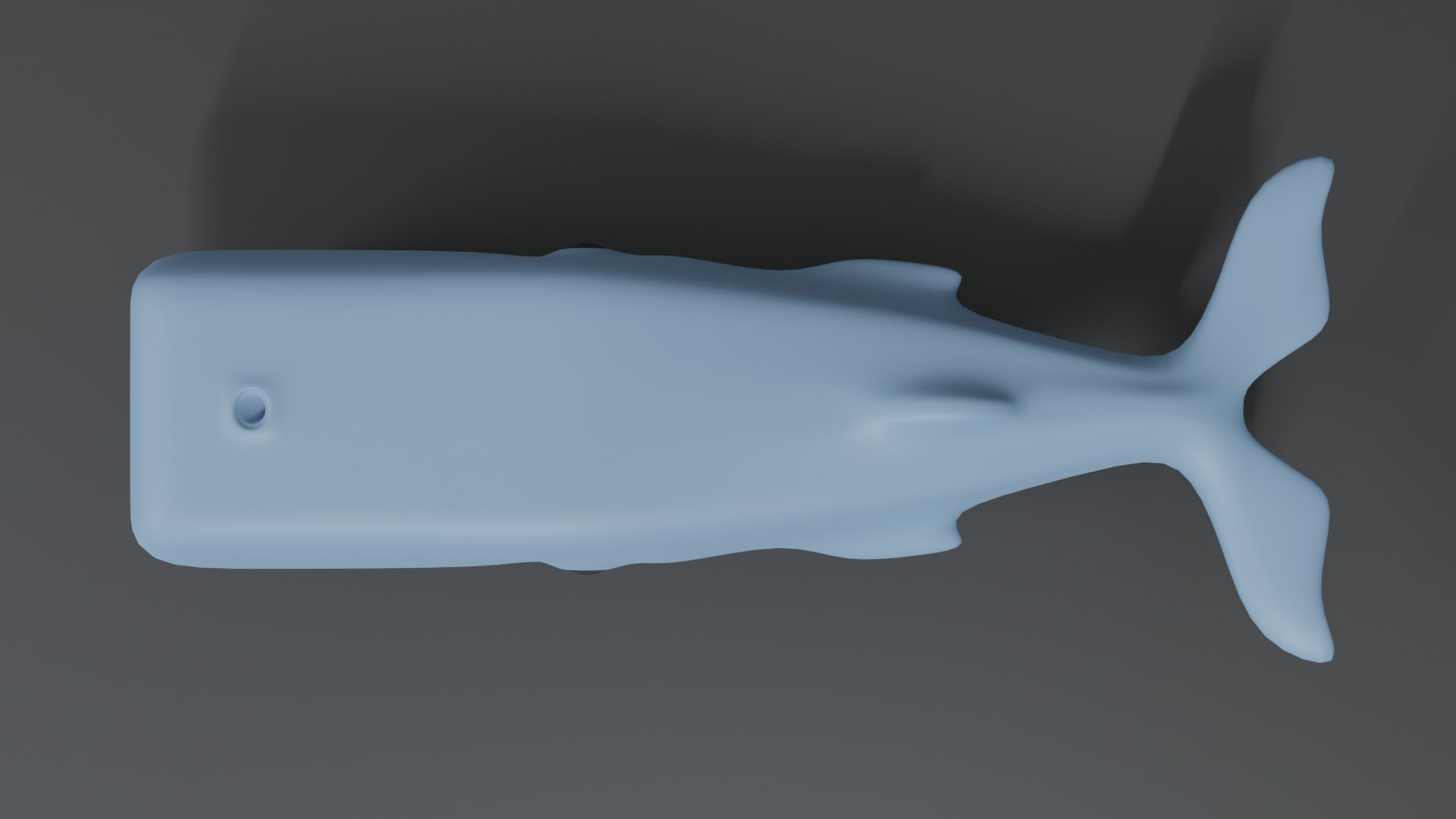 3D SPERM WHALE model - TurboSquid 1766506