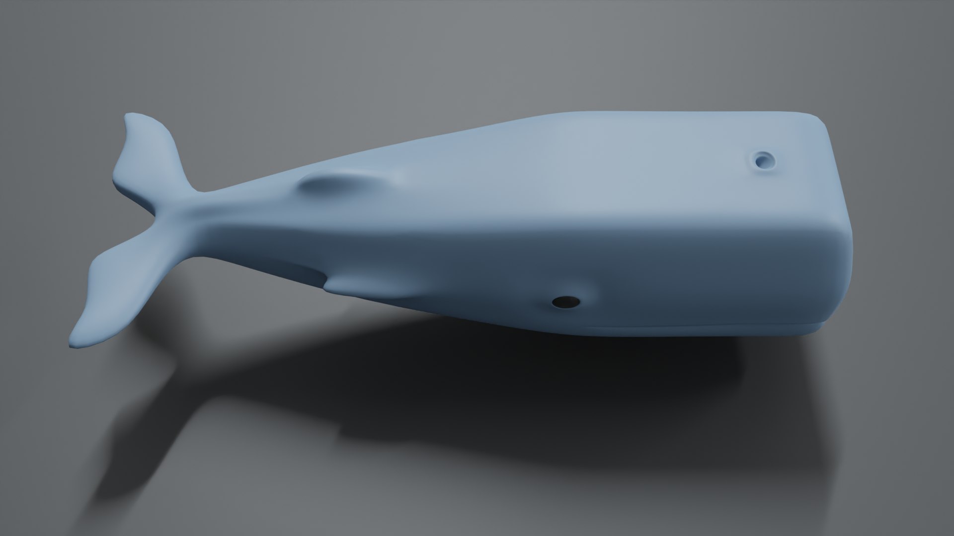 3D SPERM WHALE model - TurboSquid 1766506