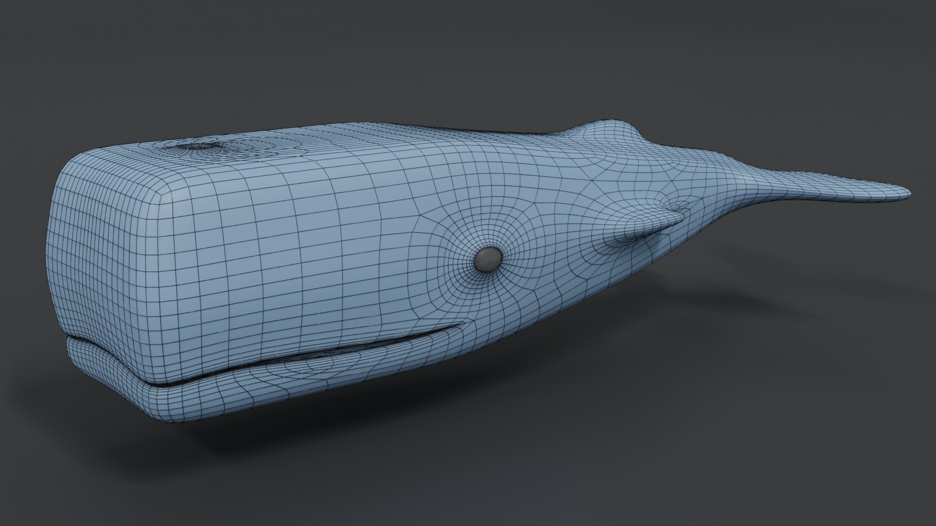 3D SPERM WHALE model - TurboSquid 1766506