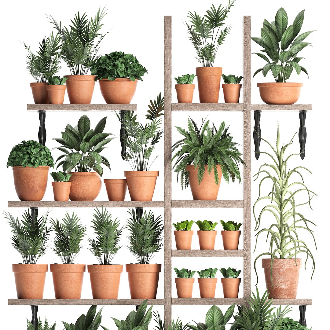 Vertical Garden Plants Model - TurboSquid 1435213