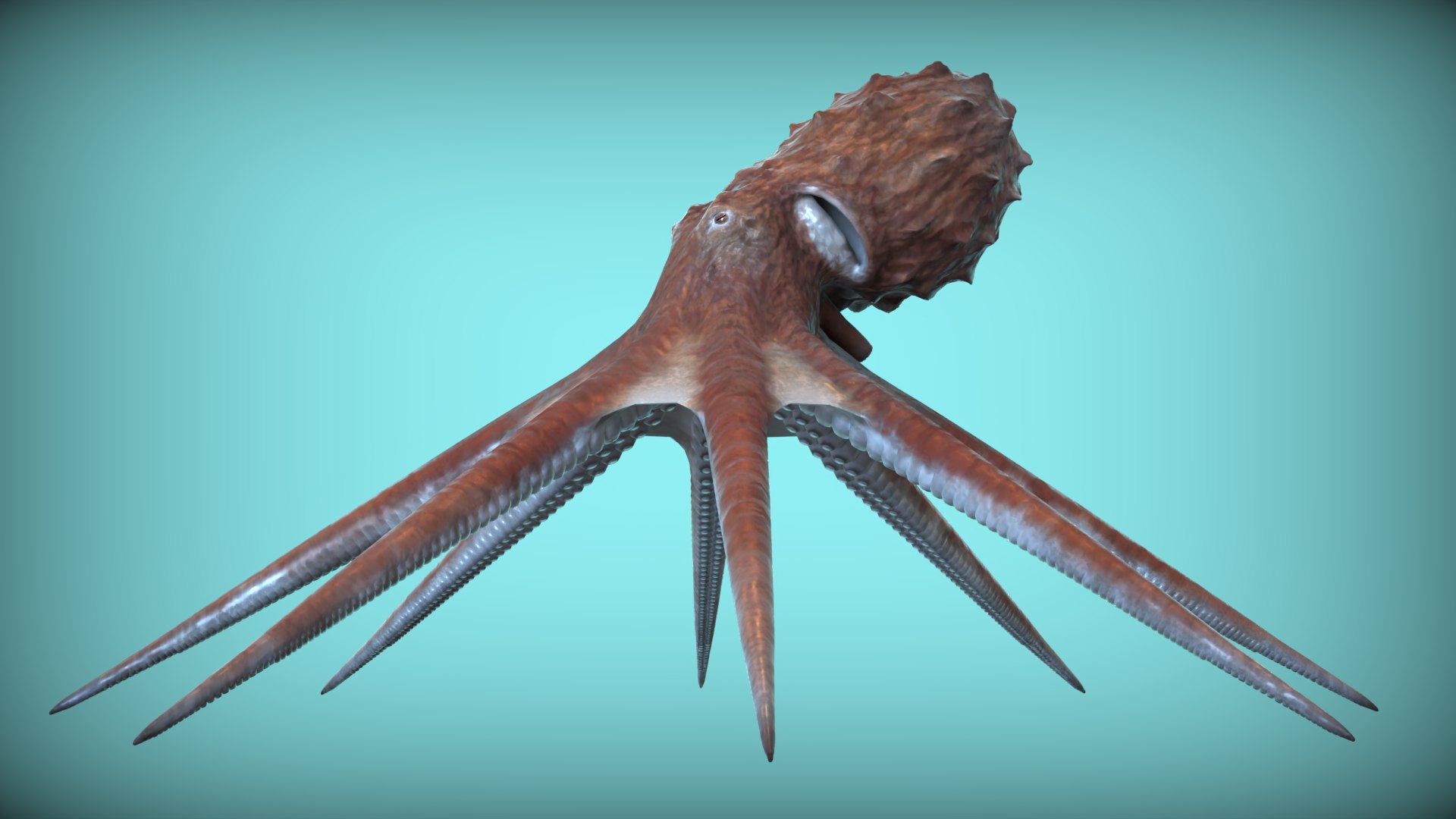 Octopus 3D Model - TurboSquid 2307899