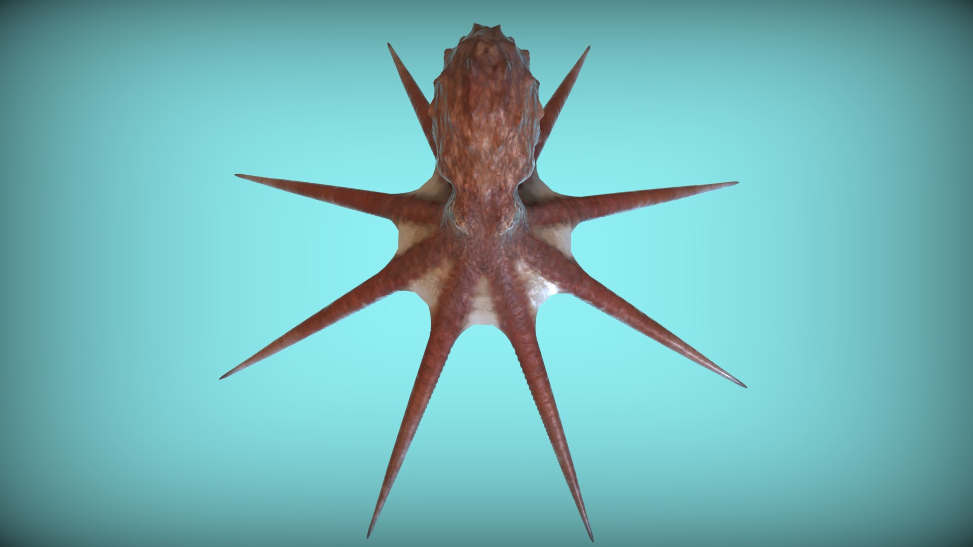 Octopus 3D Model - TurboSquid 2307899