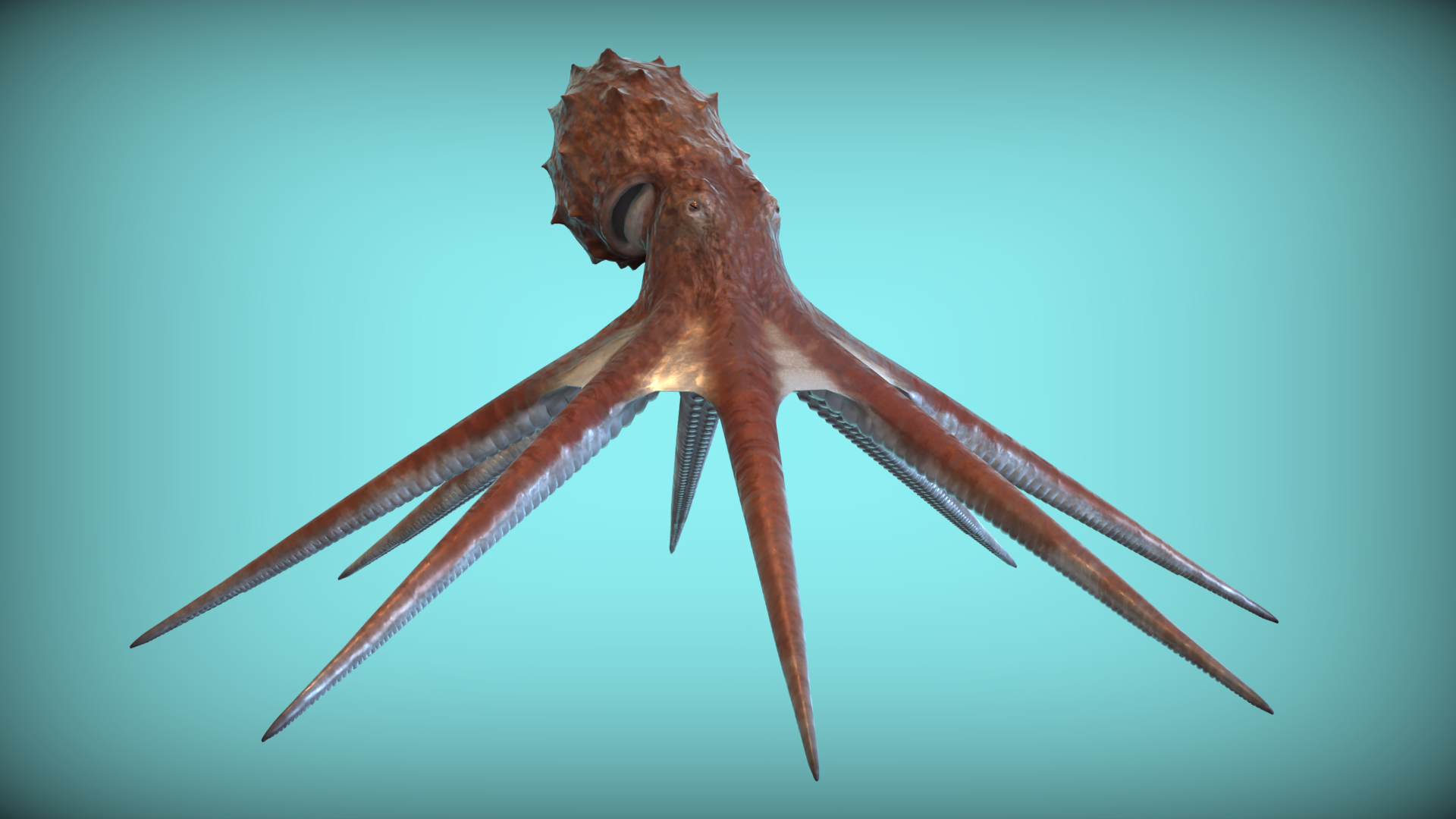 Octopus 3D Model - TurboSquid 2307899