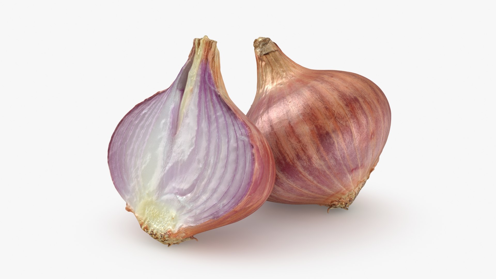 Shallots 3D Model - TurboSquid 2215181