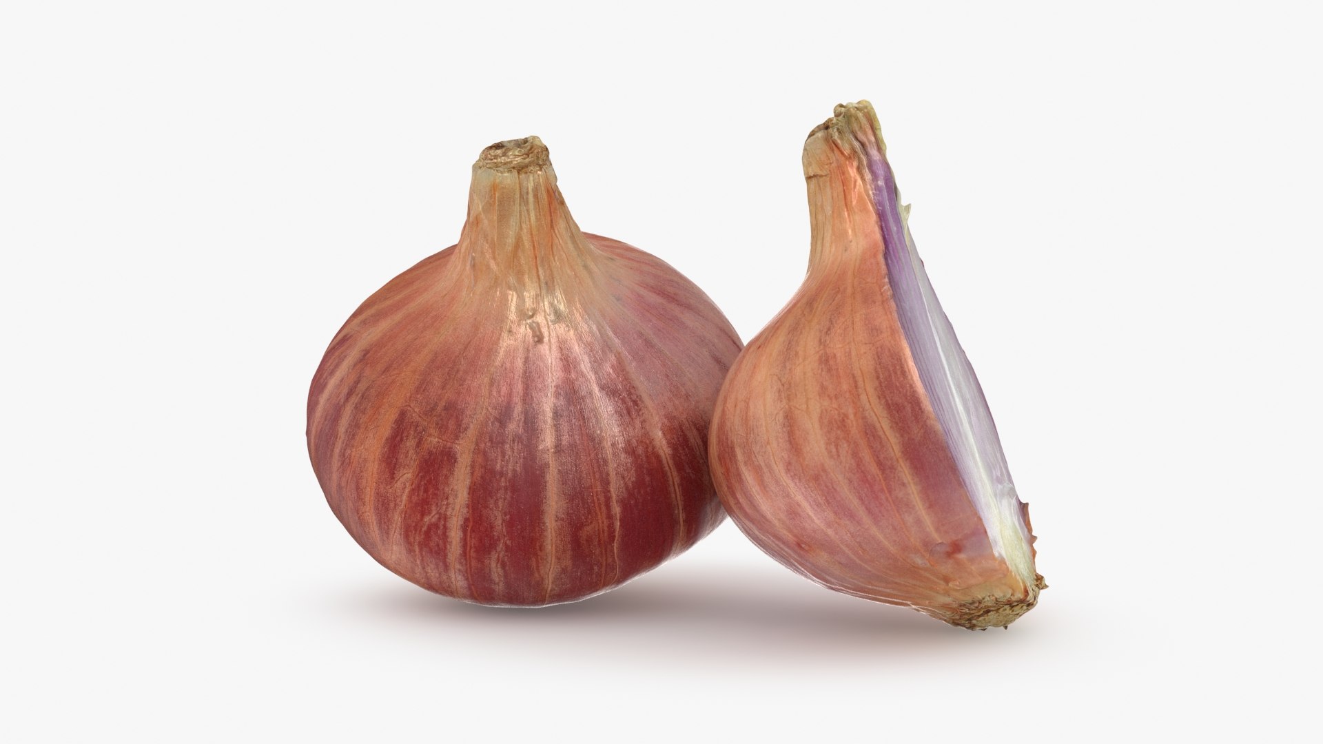 Shallots 3D Model - TurboSquid 2215181