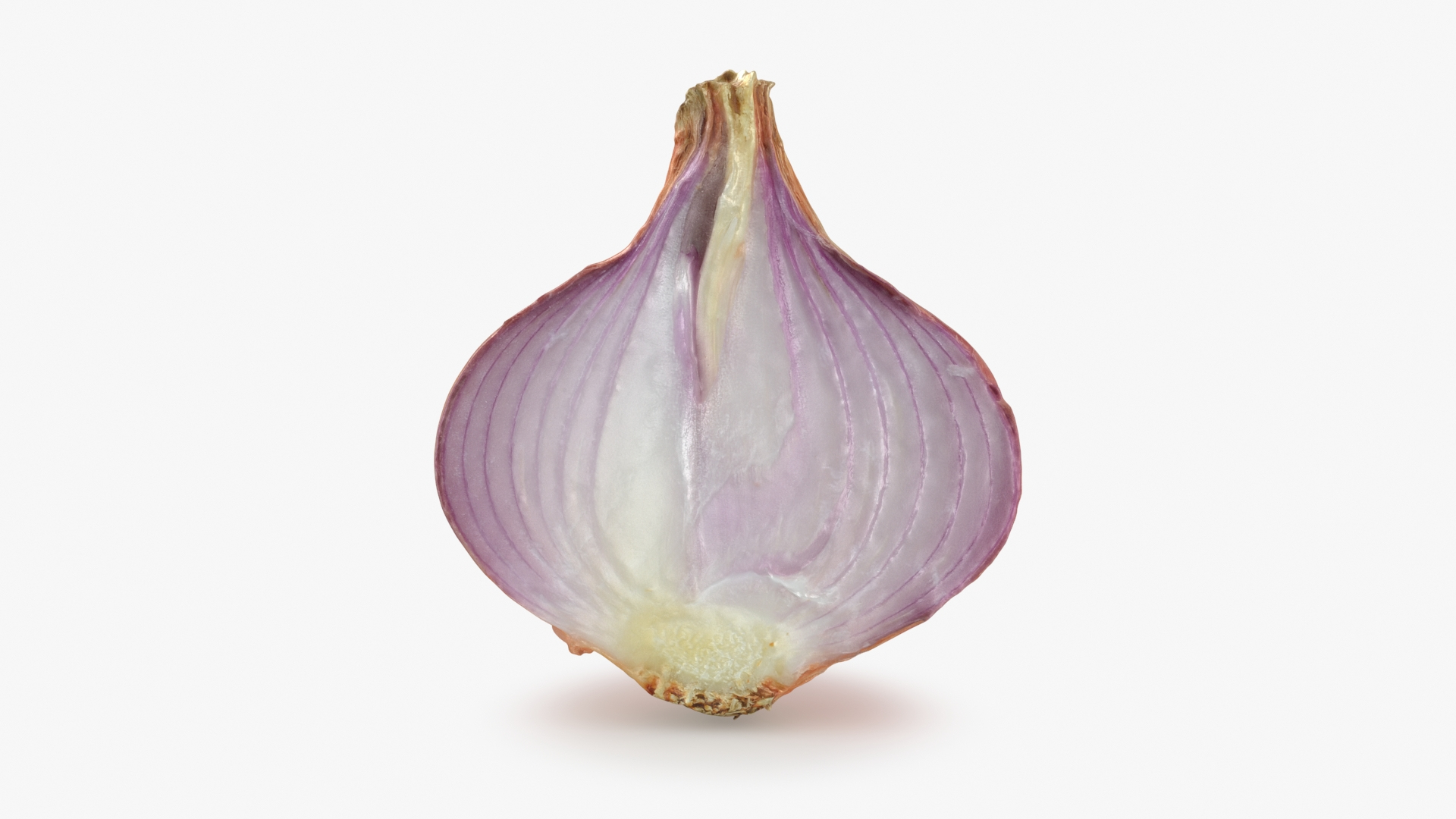 Shallots 3D Model - TurboSquid 2215181