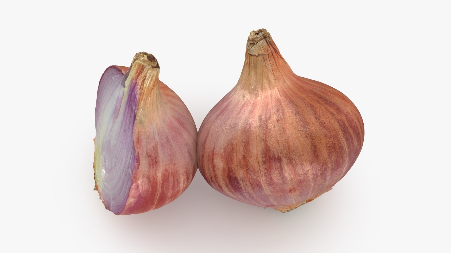Shallots 3D Model - TurboSquid 2215181