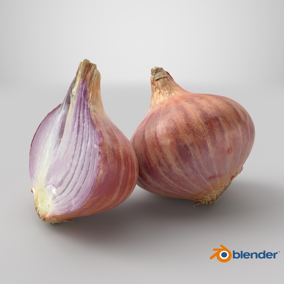 Shallots 3D Model - TurboSquid 2215181