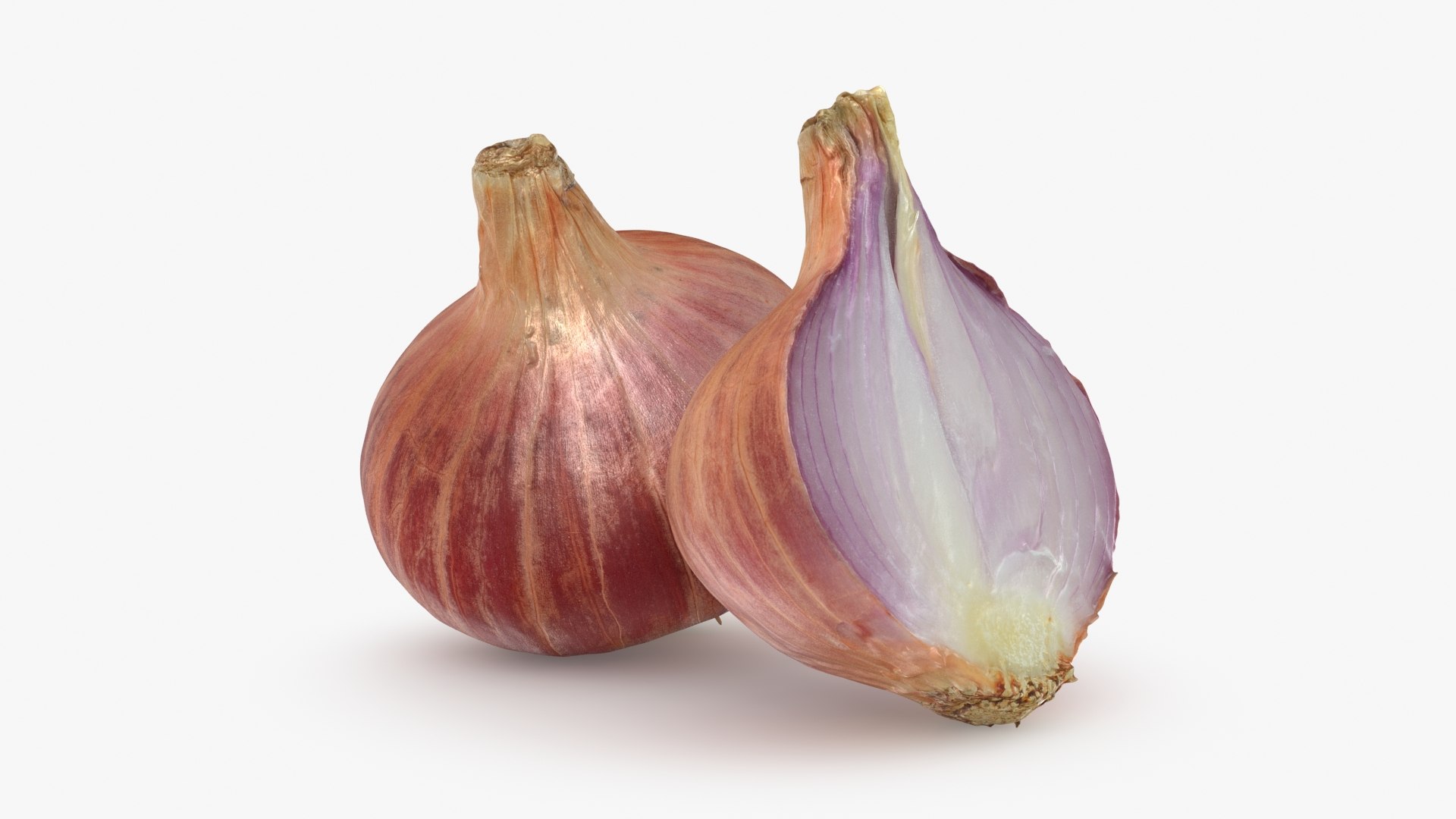 Shallots 3D Model - TurboSquid 2215181