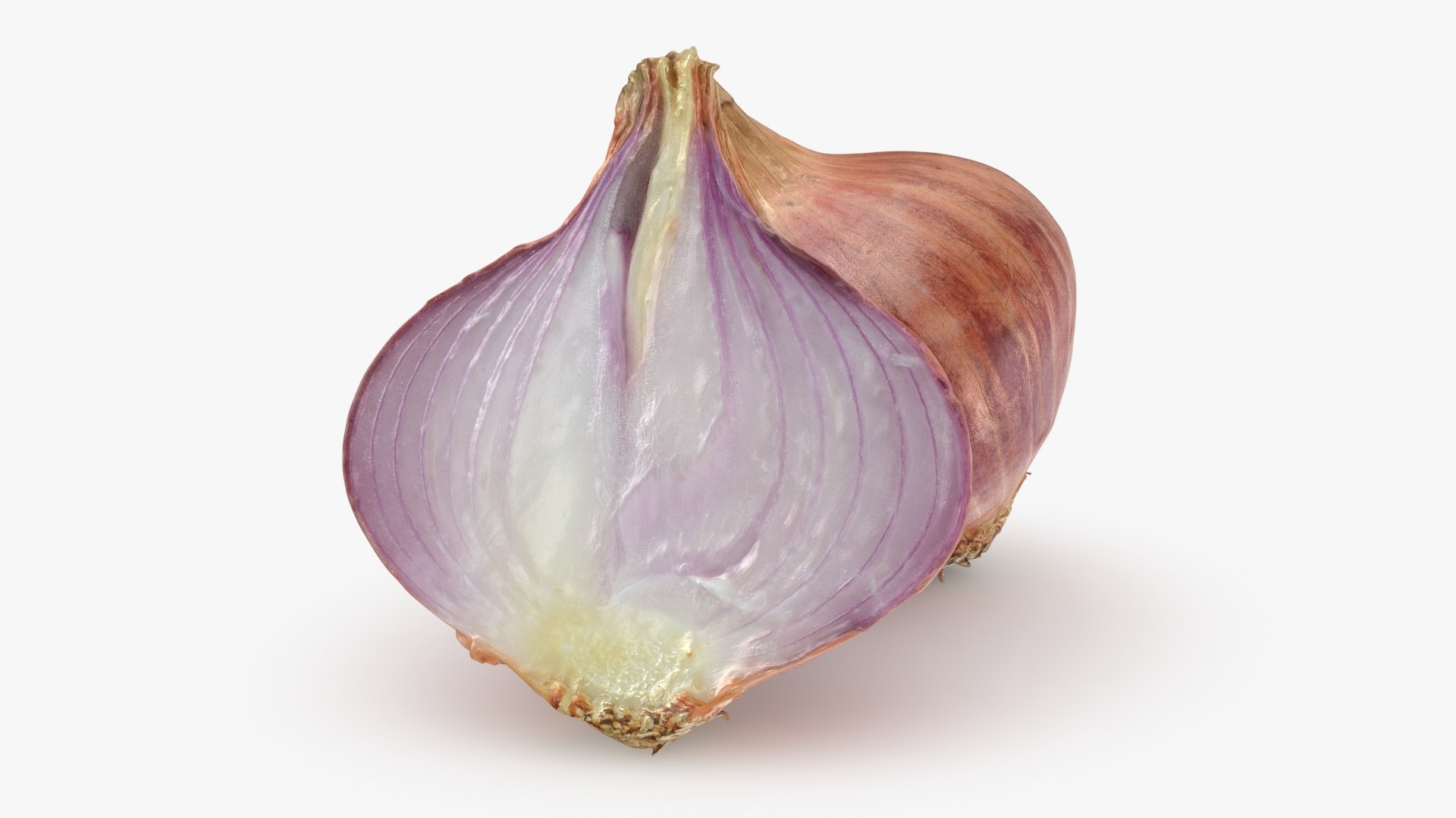 Shallots 3D Model - TurboSquid 2215181