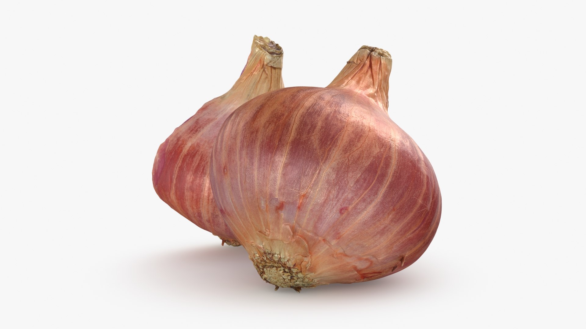Shallots 3D Model - TurboSquid 2215181
