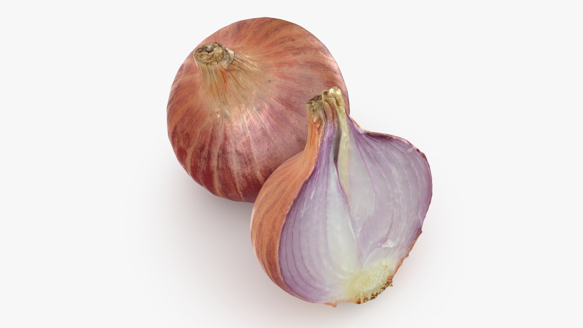 Shallots 3D Model - TurboSquid 2215181