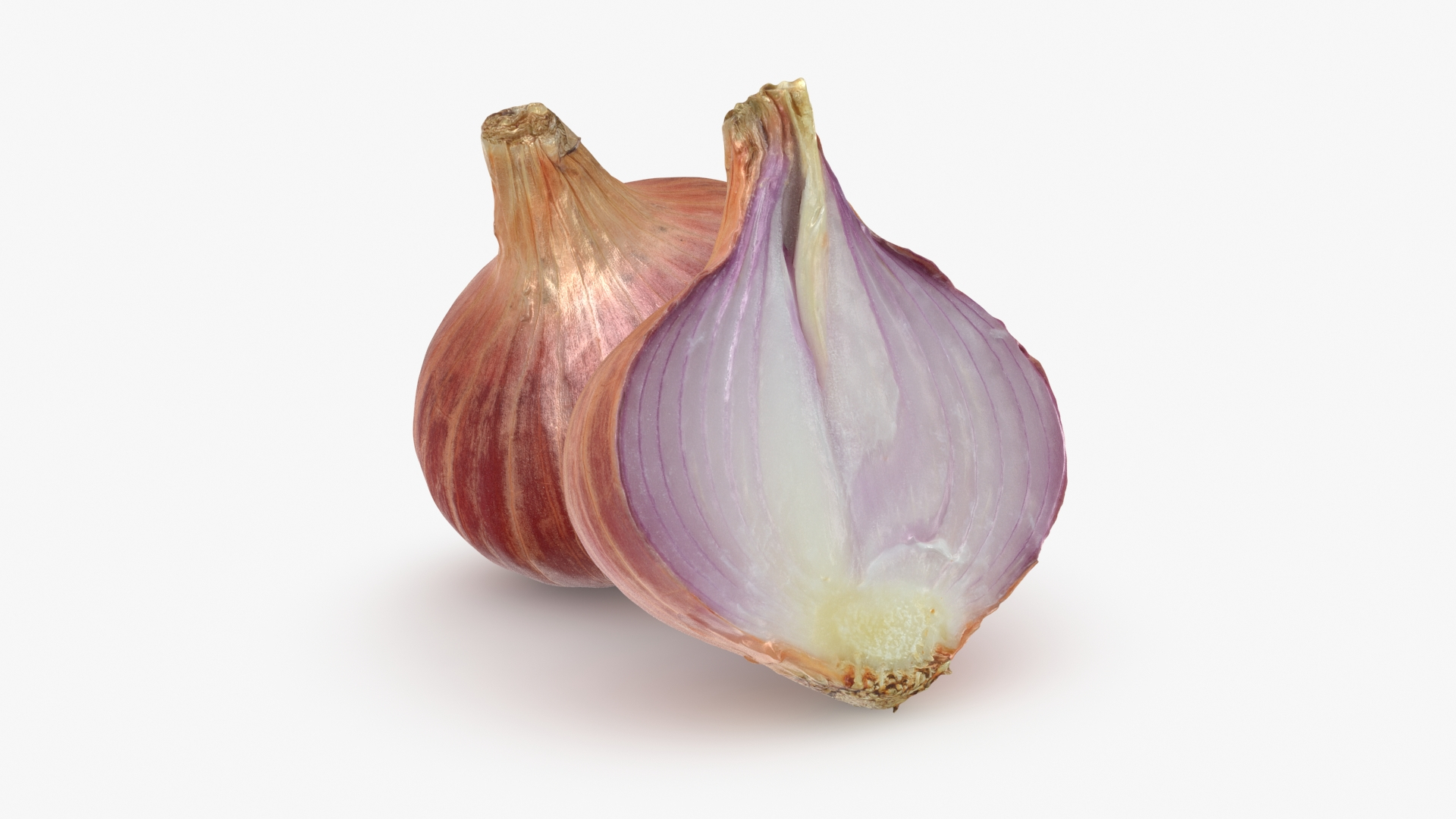 Shallots 3D Model - TurboSquid 2215181