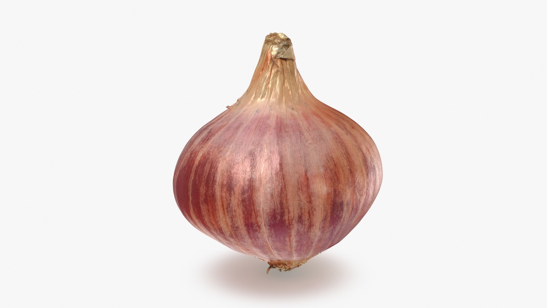 Shallots 3D Model - TurboSquid 2215181