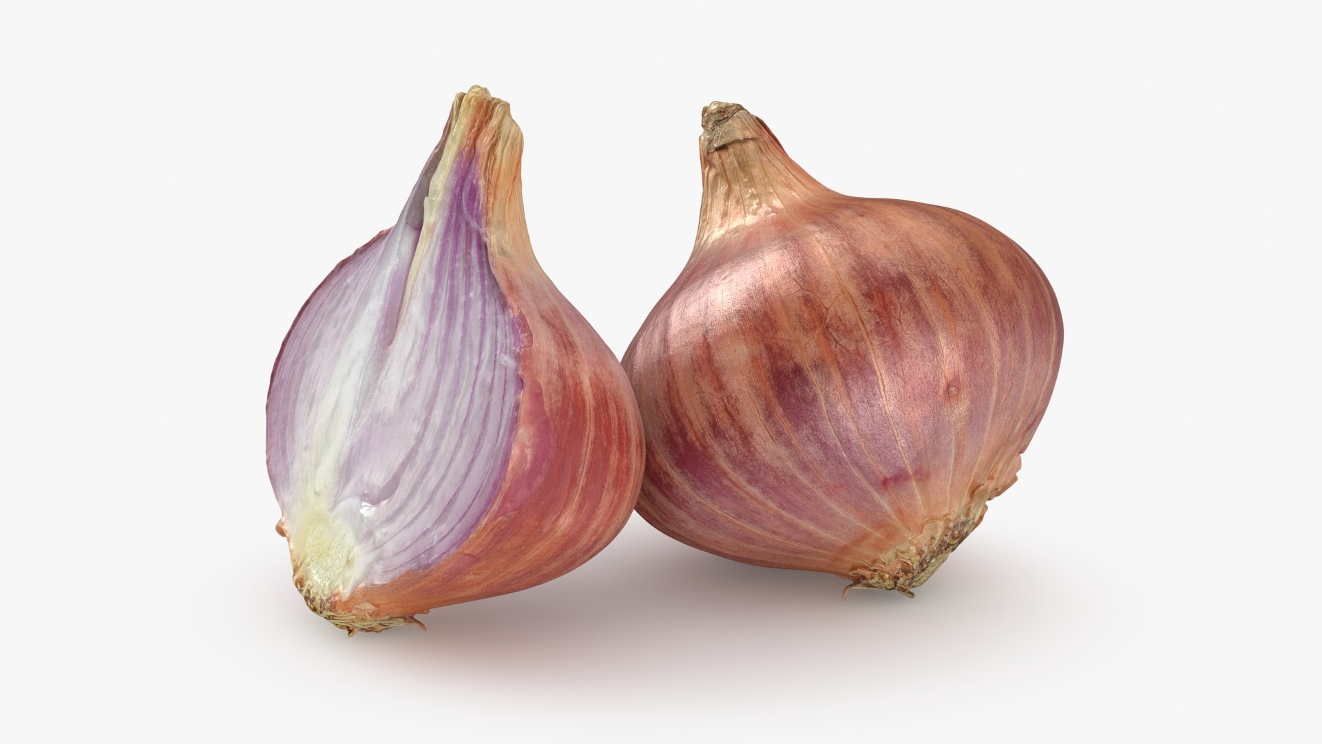 Shallots 3D Model - TurboSquid 2215181