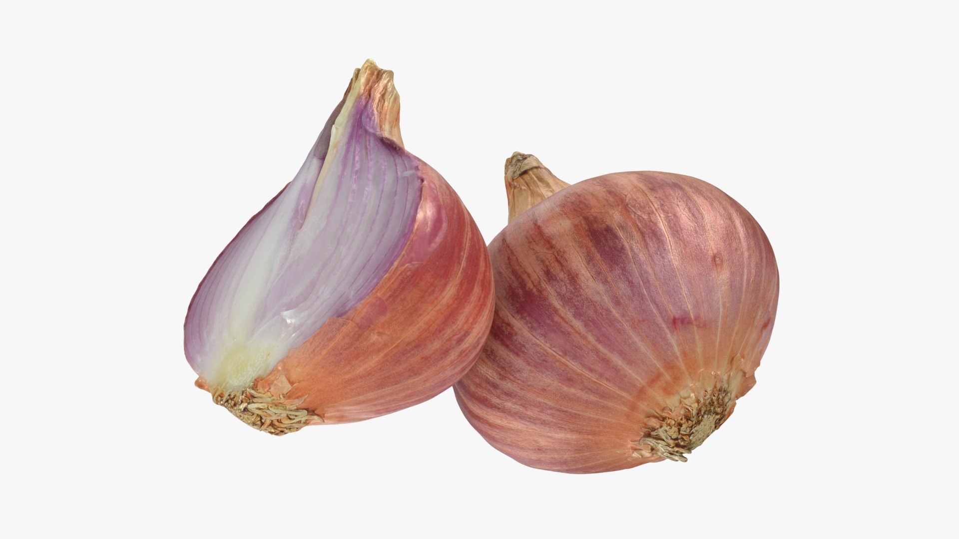 Shallots 3D Model - TurboSquid 2215181
