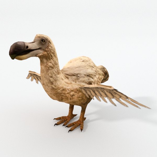 Dodo STL Models for Download | TurboSquid
