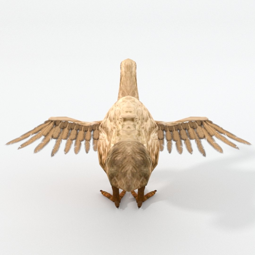 3D dodo - TurboSquid 1400295