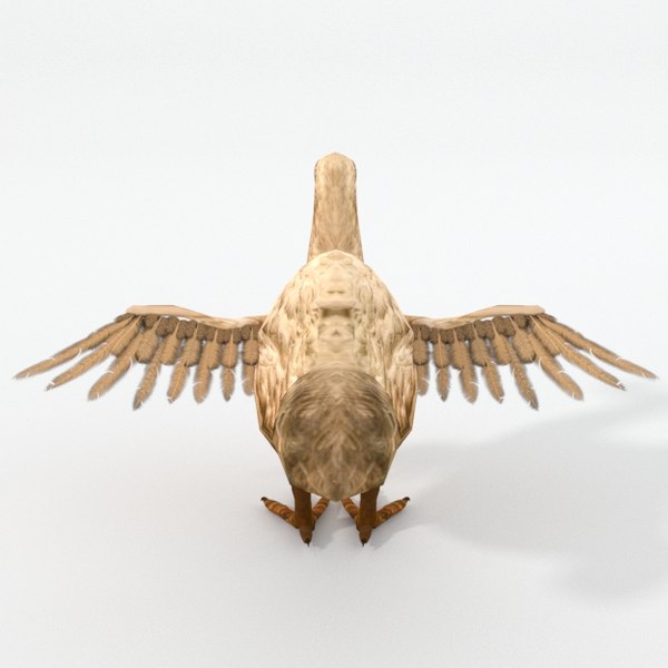 3D dodo - TurboSquid 1400295