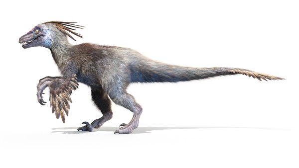 3D dino carnivores - TurboSquid 1681494