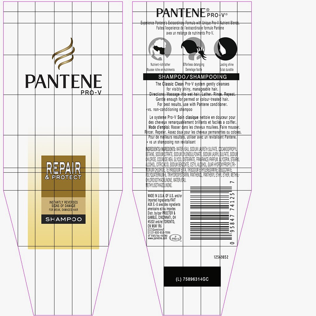 3D Pantene Shampoo - TurboSquid 1273030