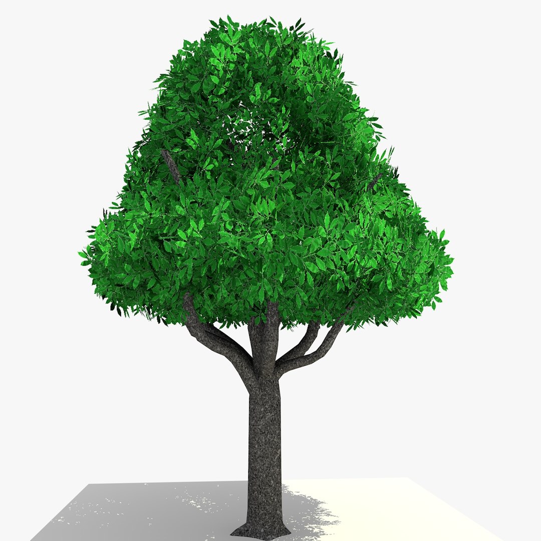 3d tree ready dae model