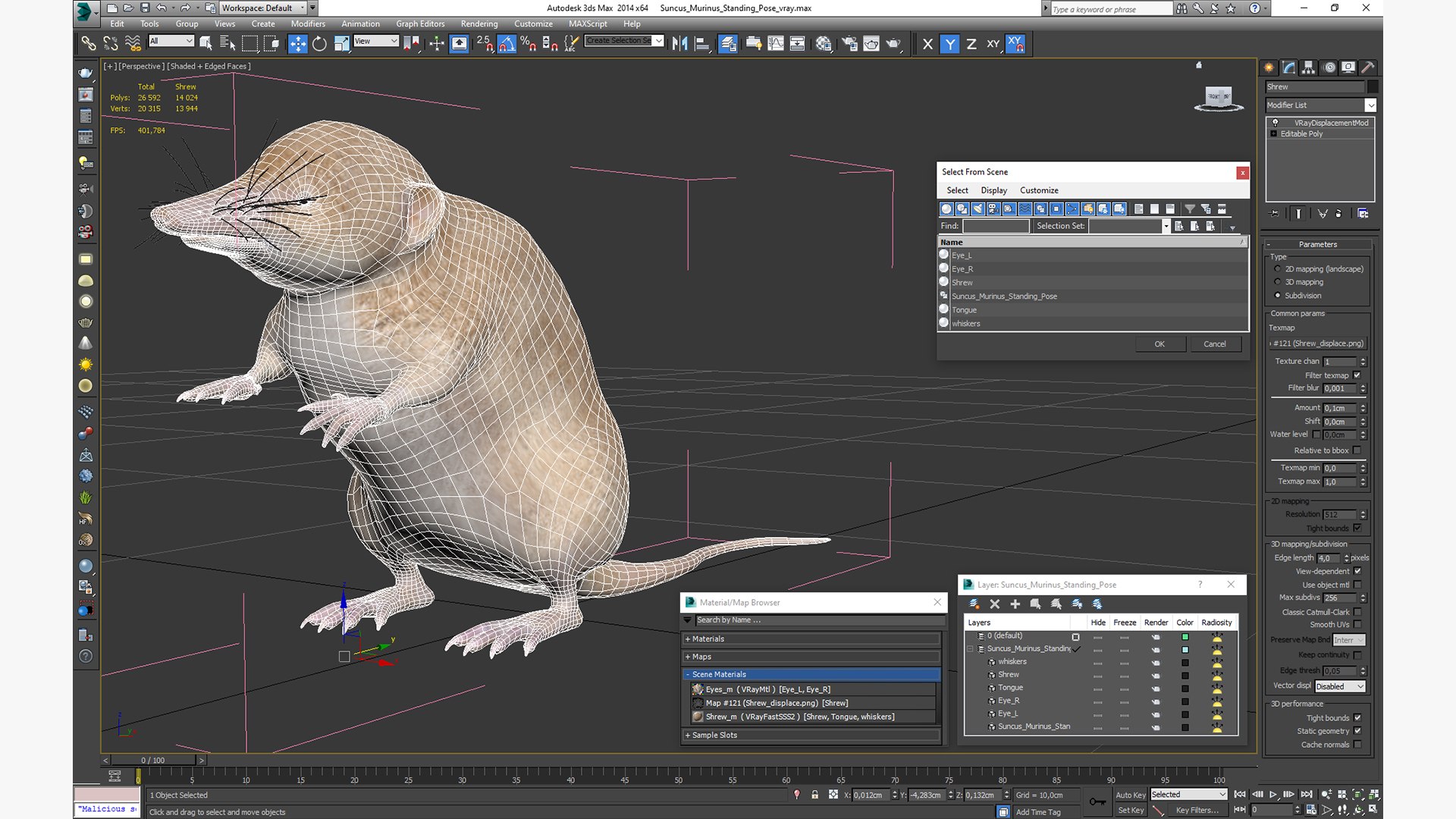 Suncus Murinus Standing Pose 3D model - TurboSquid 2164591